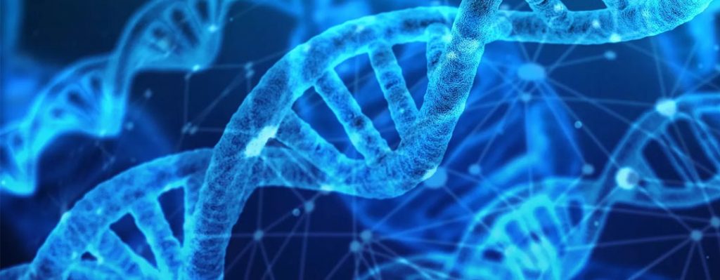 Autismo tem causa genética? É hereditário? Entenda aqui. Dra. Jaqueline